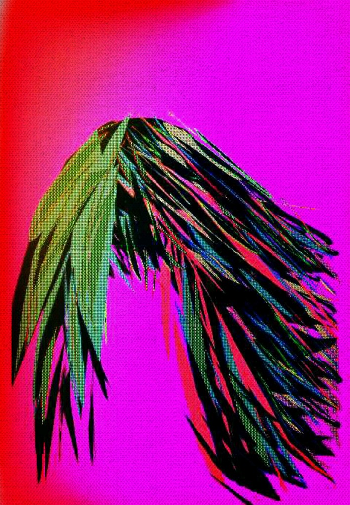 Women & Wardrobe: The Riehl Collection (20 images still available ...